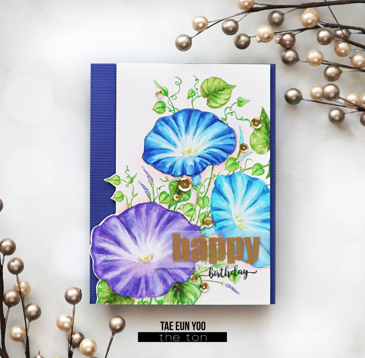 Coming Up Morning Glories | The Ton