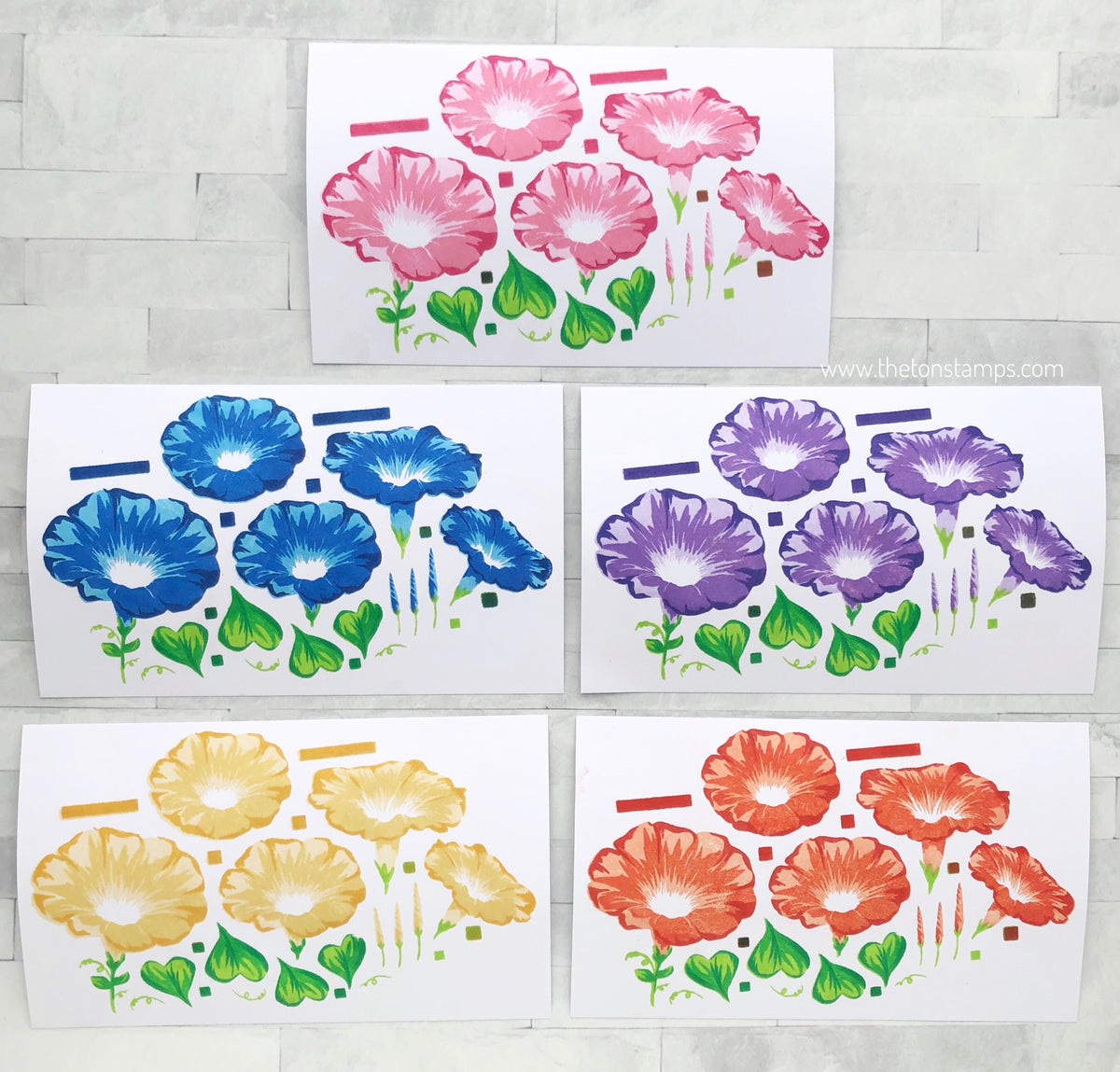 Morning Glory Cheer | The Ton