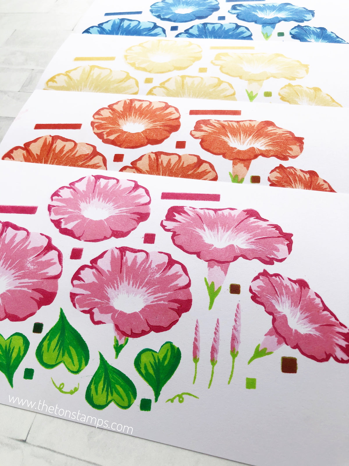 Morning Glory Cheer | The Ton